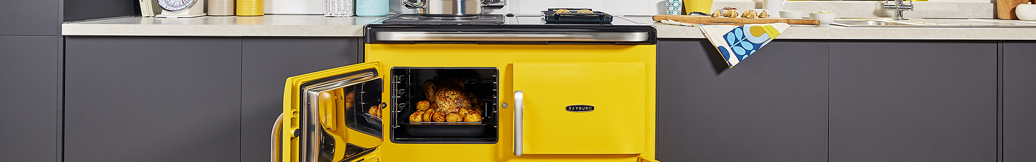 Introducing the Rayburn Ranger | AGA Living